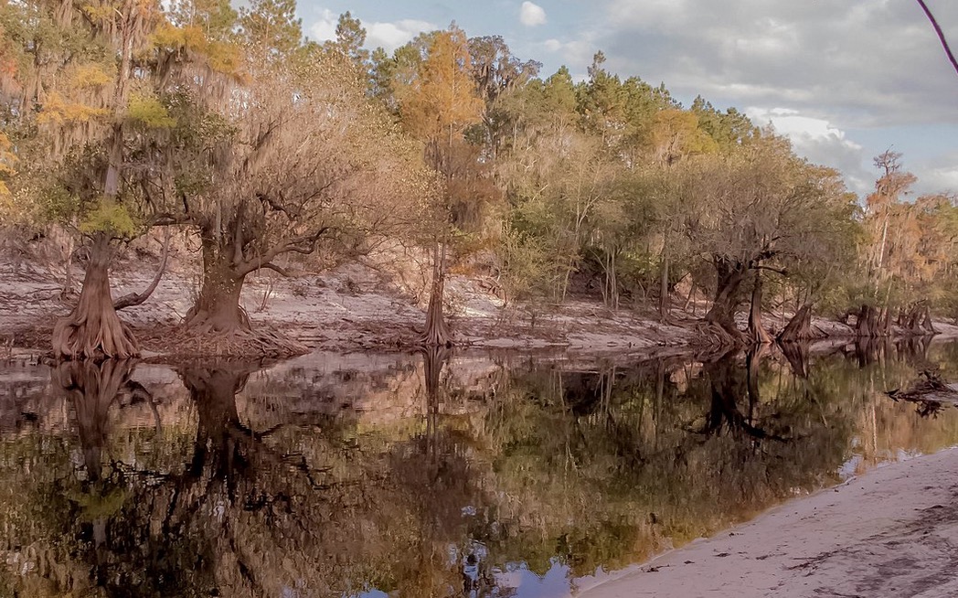 Ancient shoreline in Florida connects Suwannee County rivers and ...