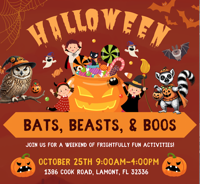3 – Bats-Beasts-and-Boos cropped image – ECB Publishing, Inc.
